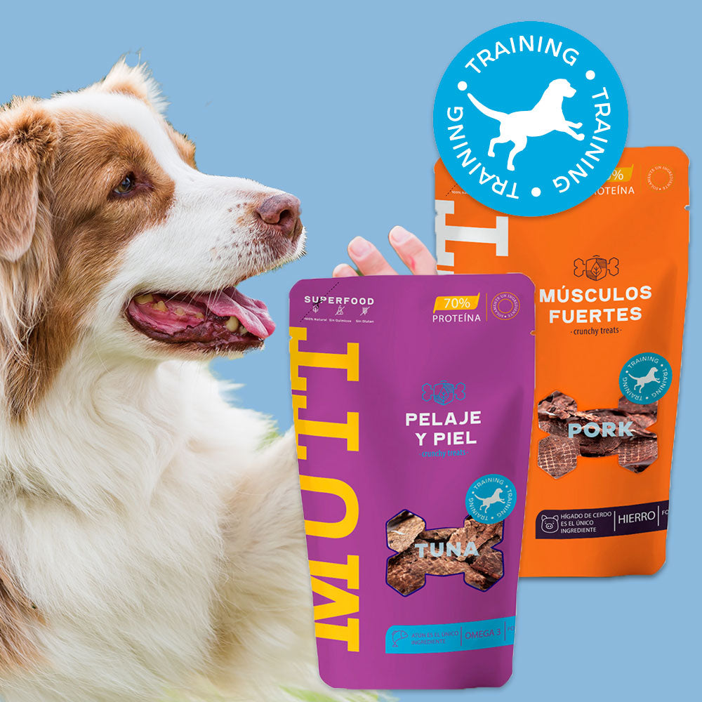 Training – Mutt Pet